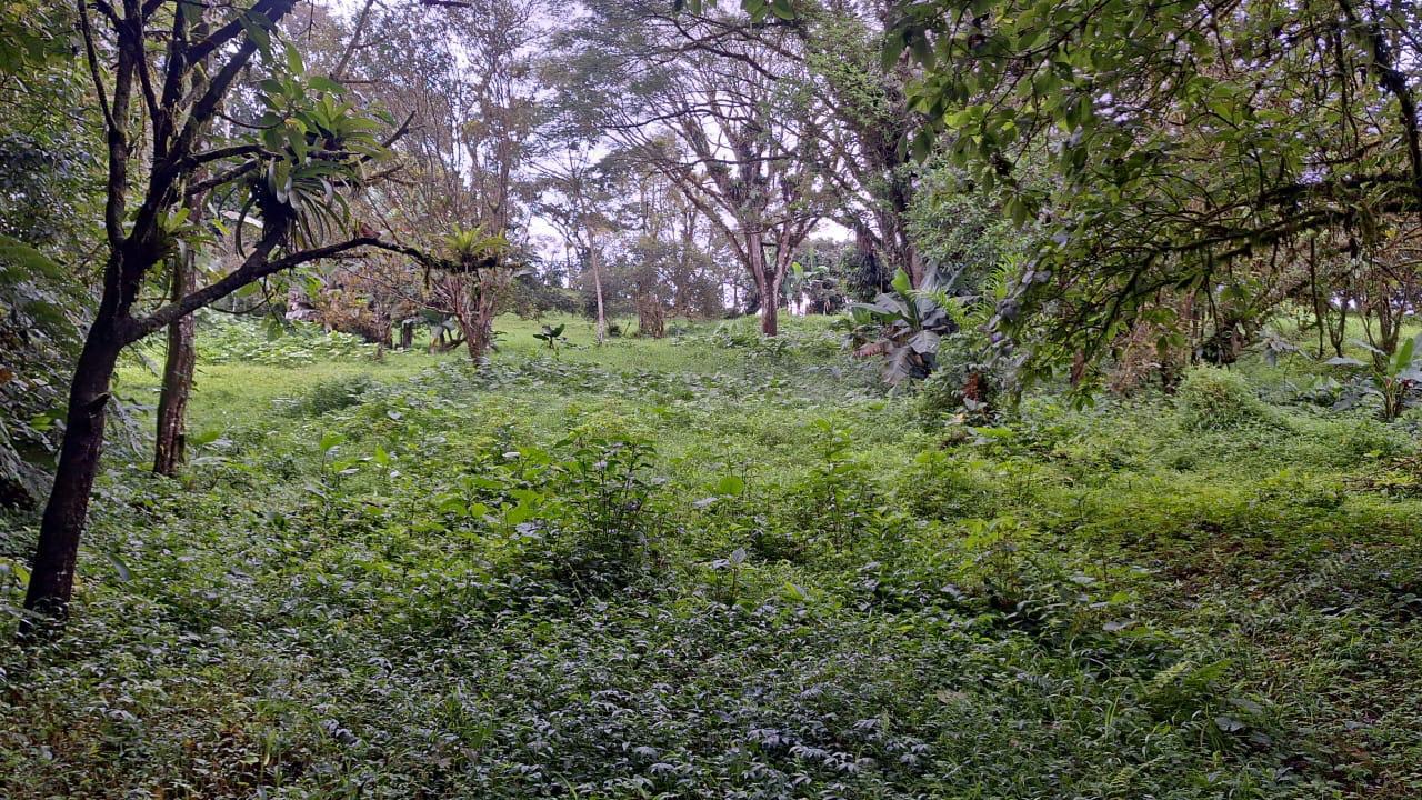 #LAP1062L: “The Emerald of Arenal” 5 Lake View Acres Nestled in ...